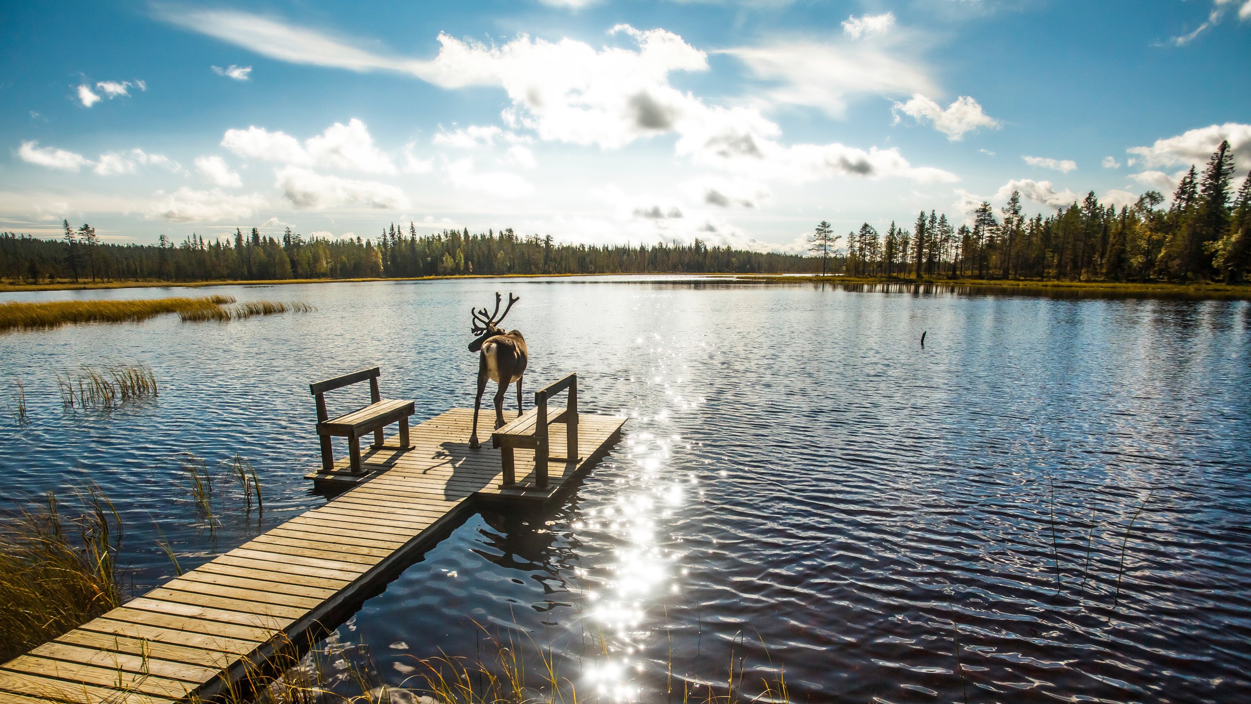 Zomers Posio | Finland | Christoffel Travel